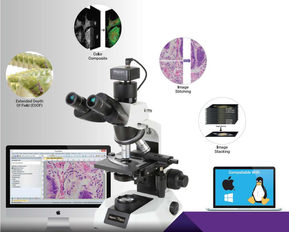 MAGCAM Imaging Cameras – Novel Tech Inc. – Delivering Microscopes ...