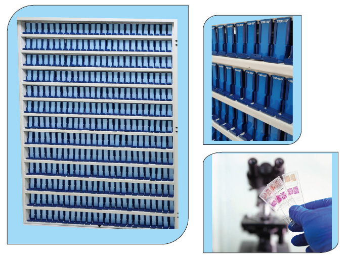 STORTECH SLIDES & BLOCKS CABINET – Novel Tech Inc. – Delivering ...