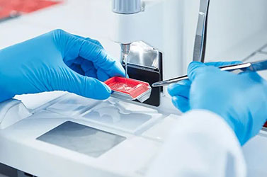 Products – Novel Tech Inc. – Delivering Microscopes & Histopathology ...